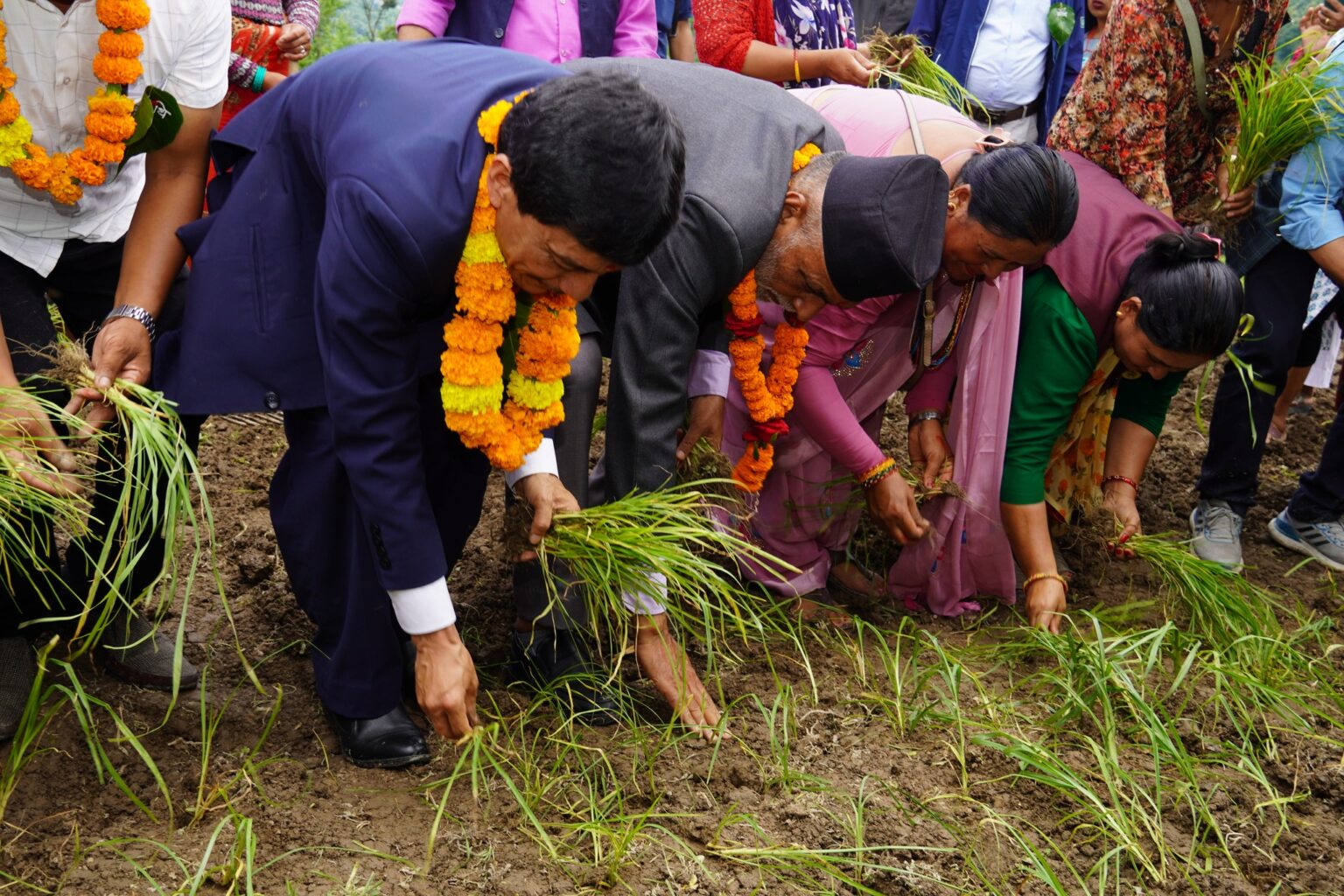 National Farmers Group Federation