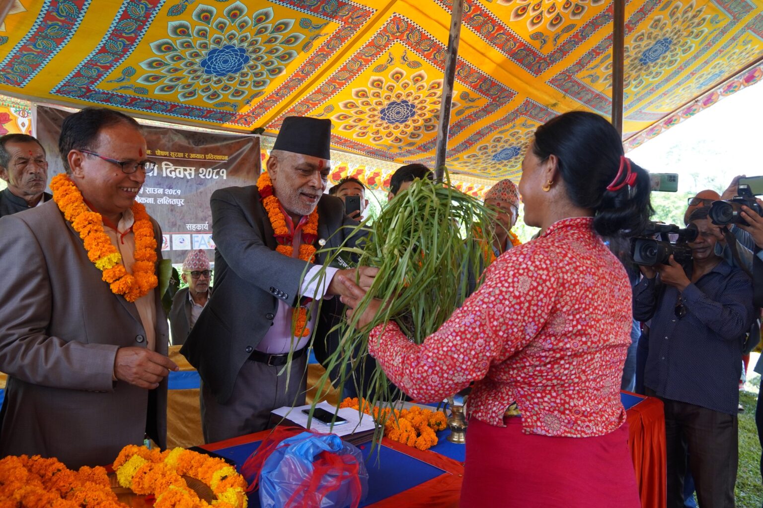 National Farmers Group Federation